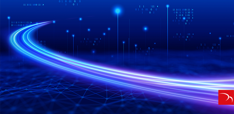 The Essential Link: End-To-End Network Solutions & Services